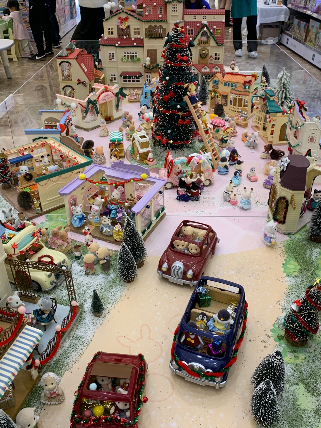 🏘️ | 콜리(Colley)