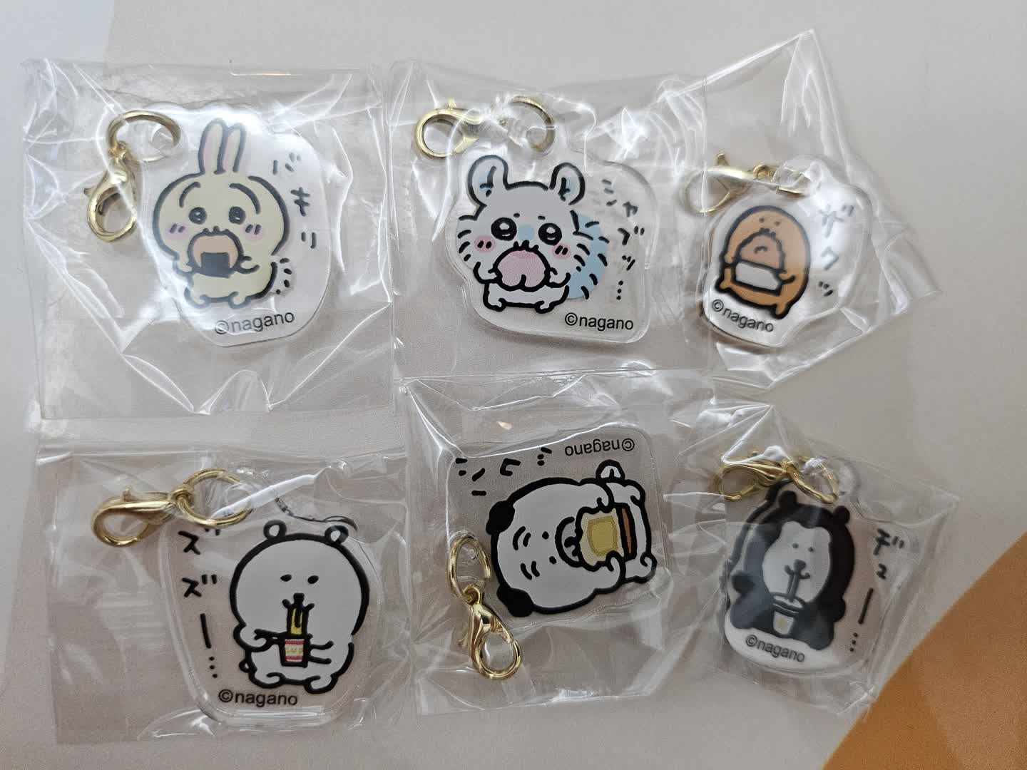 나가노마켓에서 뽑은 가챠 아크릴 참☆ | 콜리(Colley)