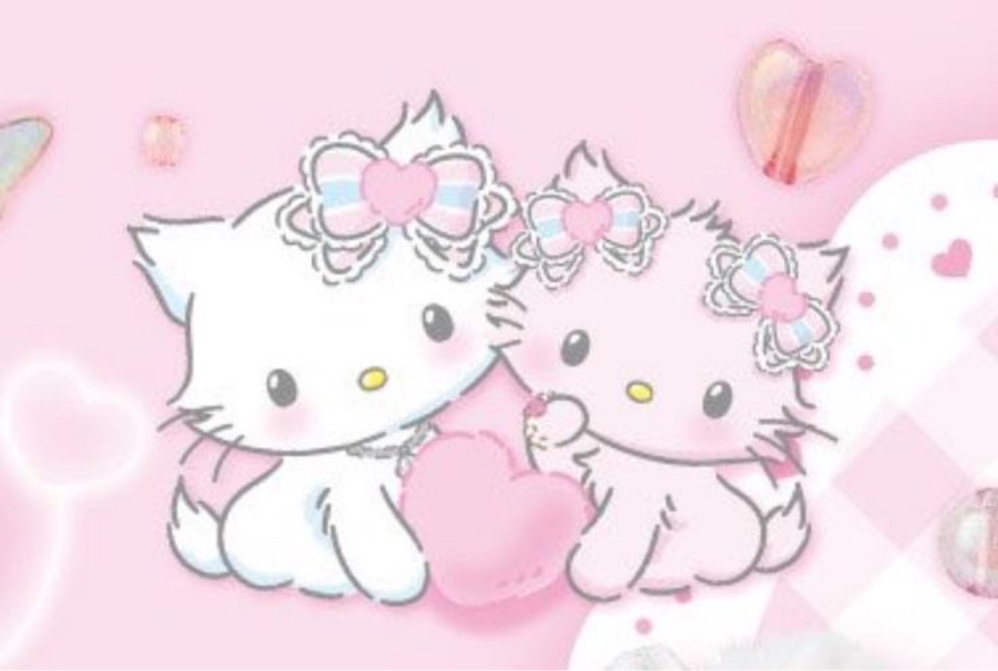 kittyshushu 님의 프로필 | 콜리(Colley)