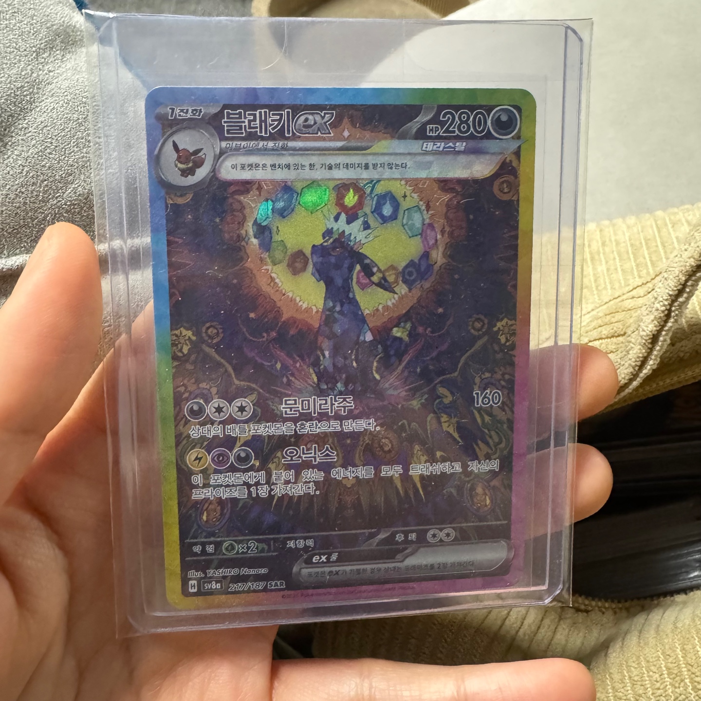 테라스탈 블래키 sar | 콜리(Colley)