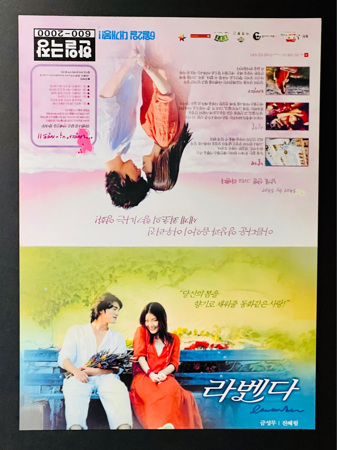 [영화팜플렛] 라벤다 B5 접이식 1장 전단지(2000) | 콜리(Colley)