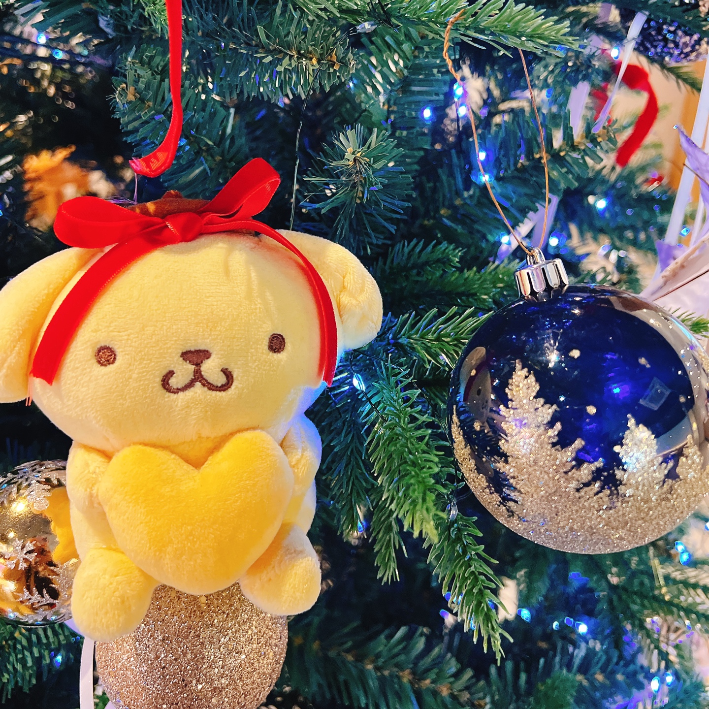 오늘 크리스마스 트리 주인공은💛 ️💛 | 콜리(Colley)