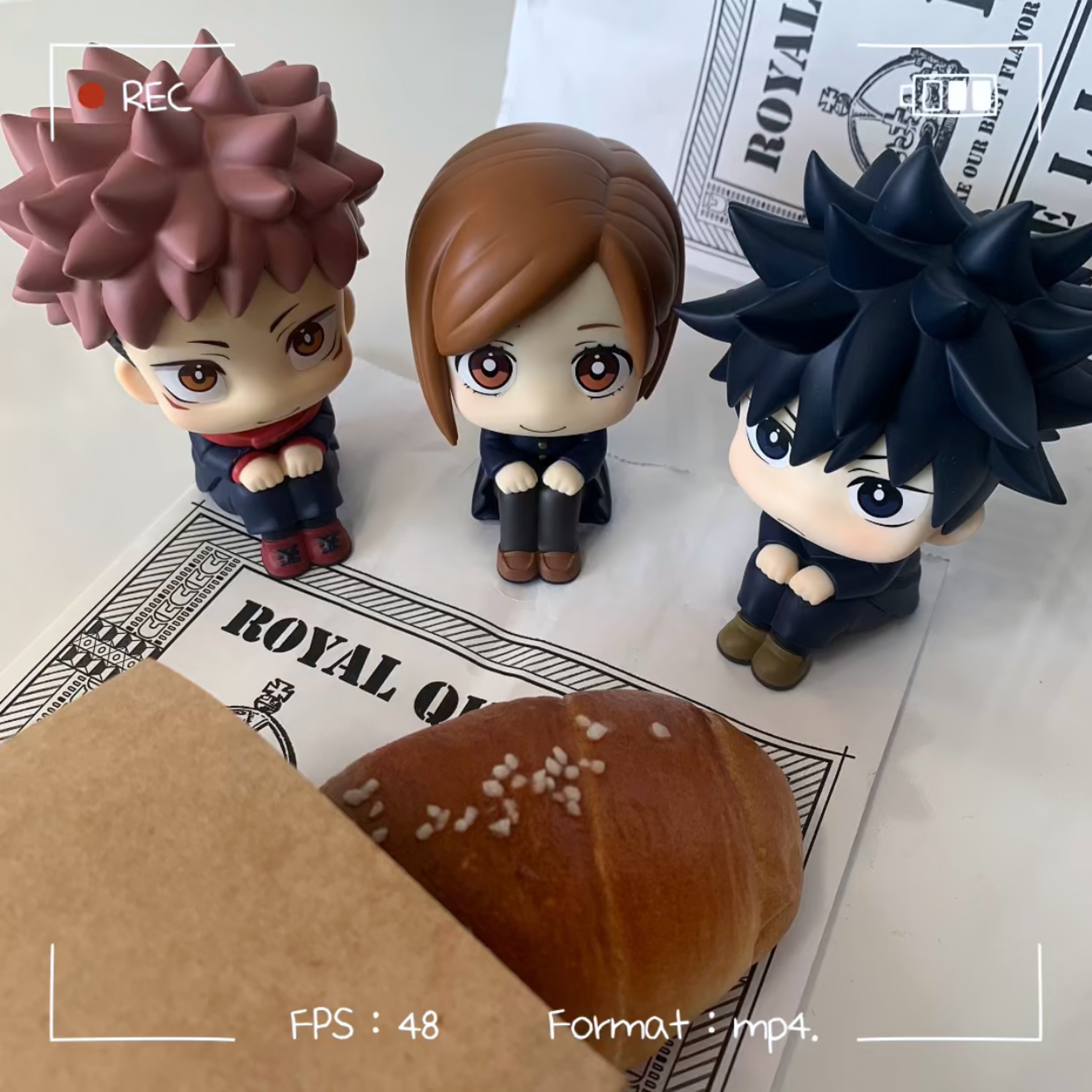 🧂🥐 | 콜리(Colley)