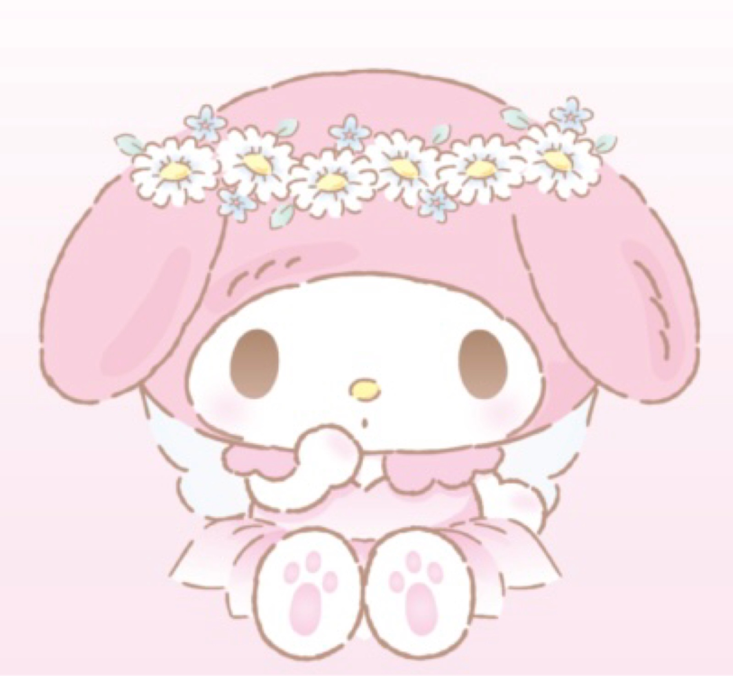 Pippiroom 님의 프로필 | 콜리(Colley)