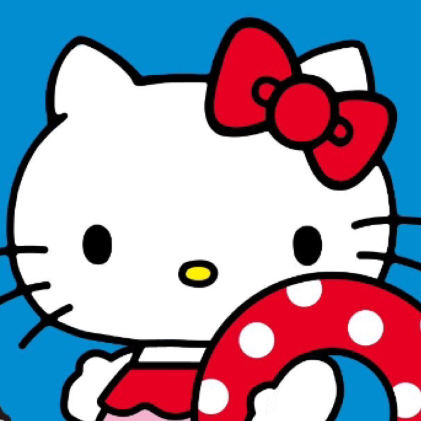 kitty 님의 프로필 | 콜리(Colley)