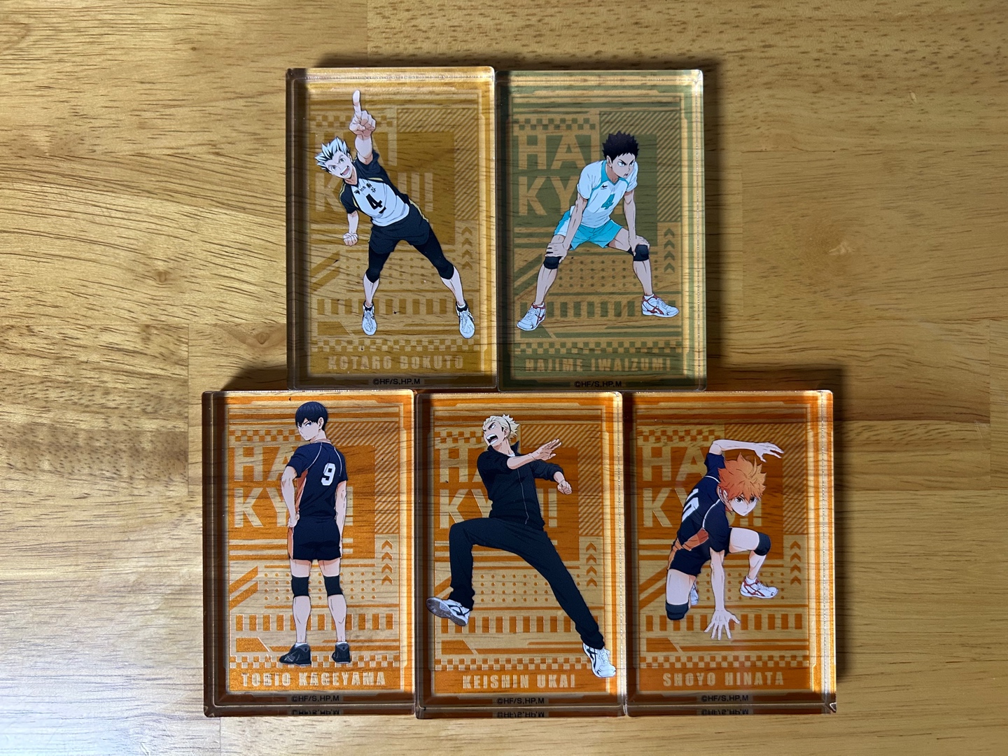 하이큐 굿즈 | 콜리(Colley)