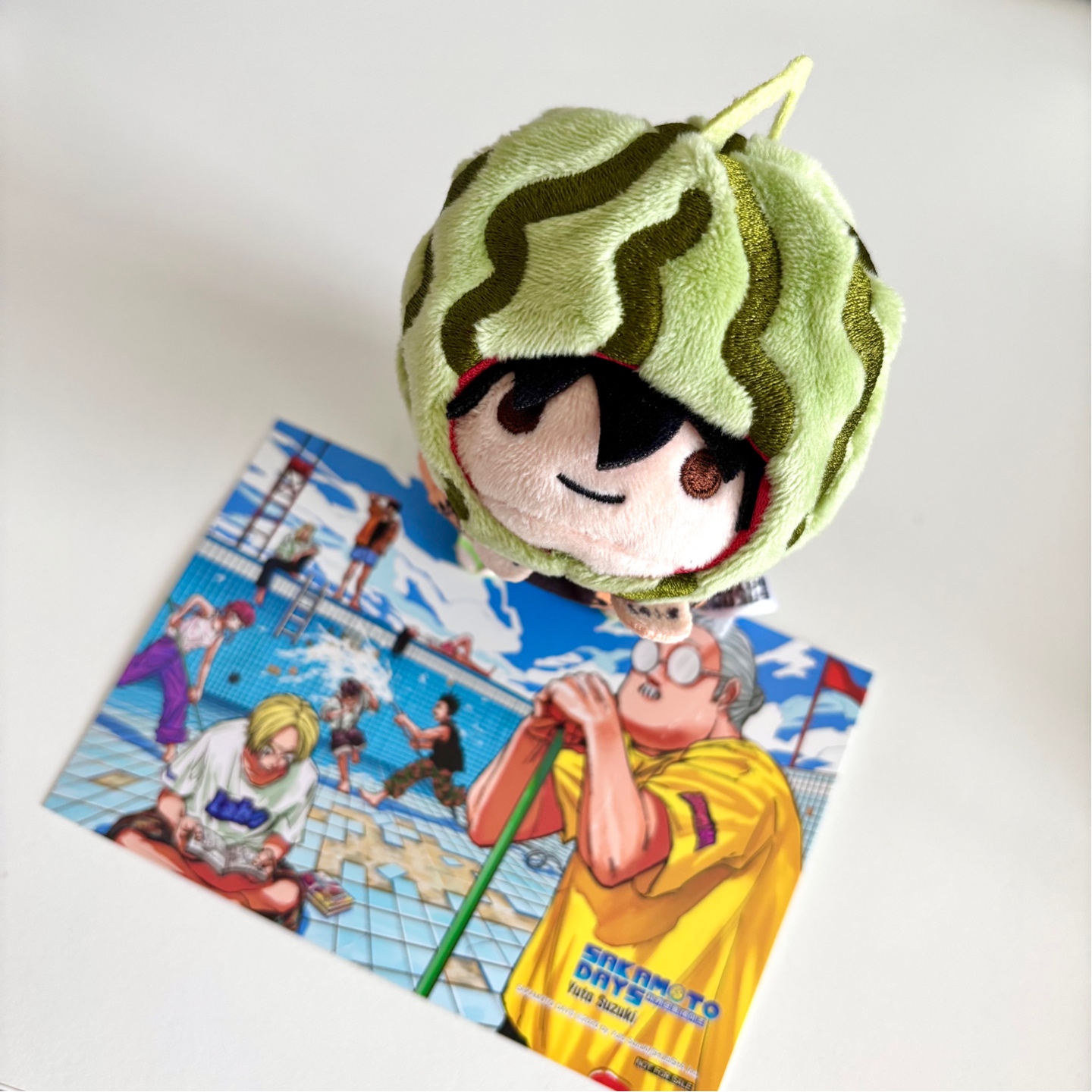 🍉잘 익은 수박 보고가세요🍉 | 콜리(Colley)