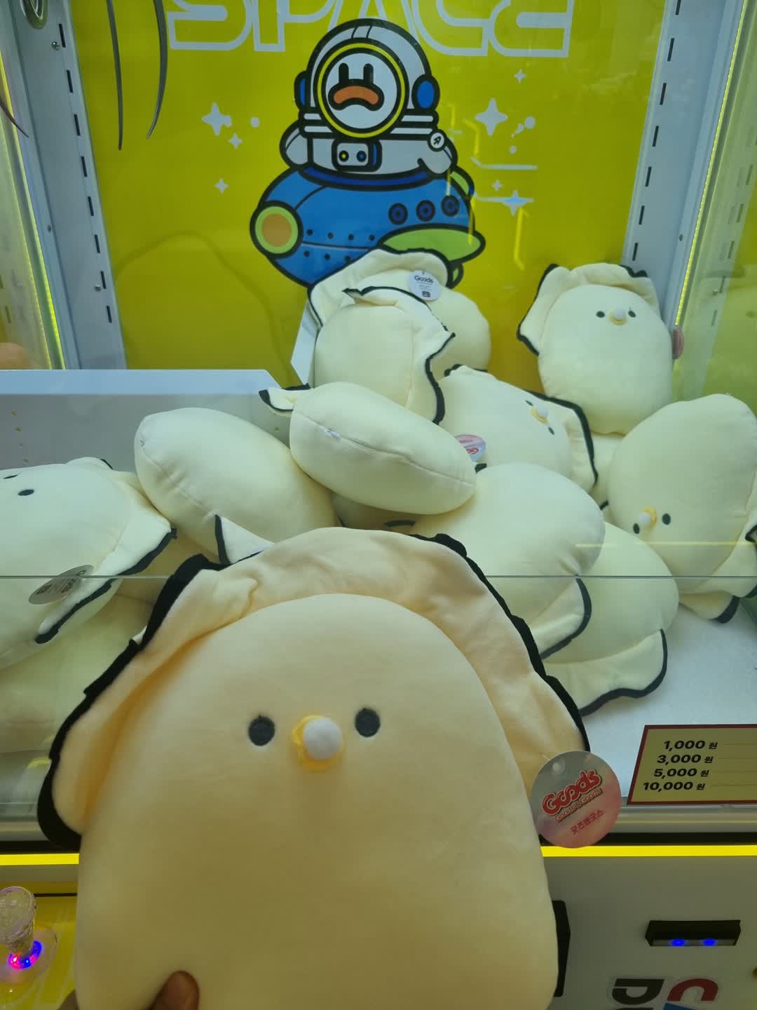 굴인형 2버전 | 콜리(Colley)