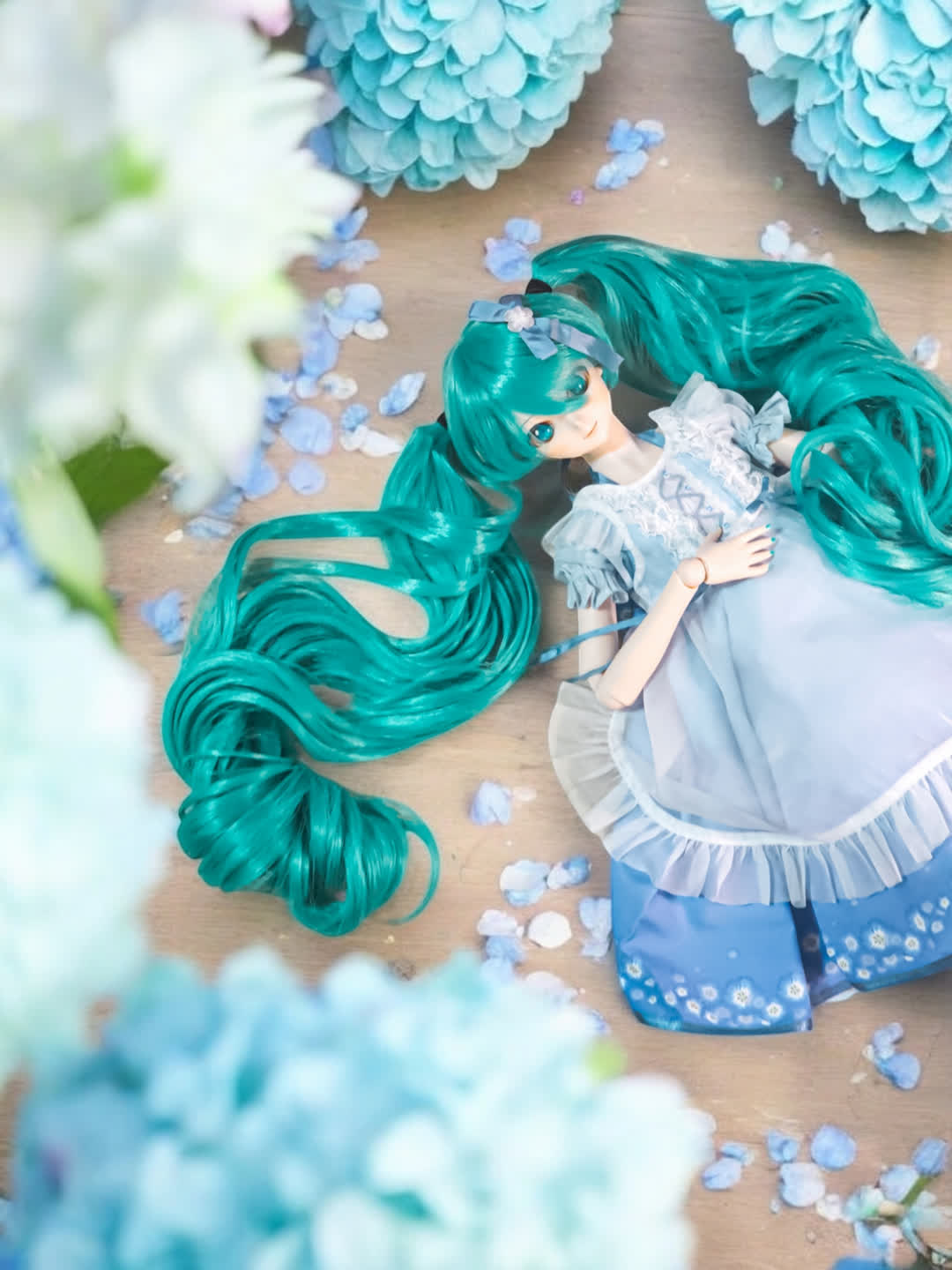 추가로 두장 더 | 콜리(Colley)