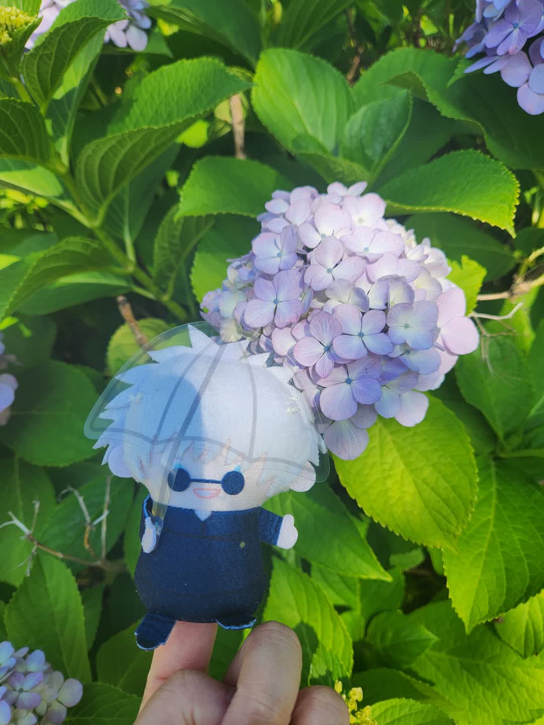 어제 고죠센세랑 거제당일치기여행 | 콜리(Colley)