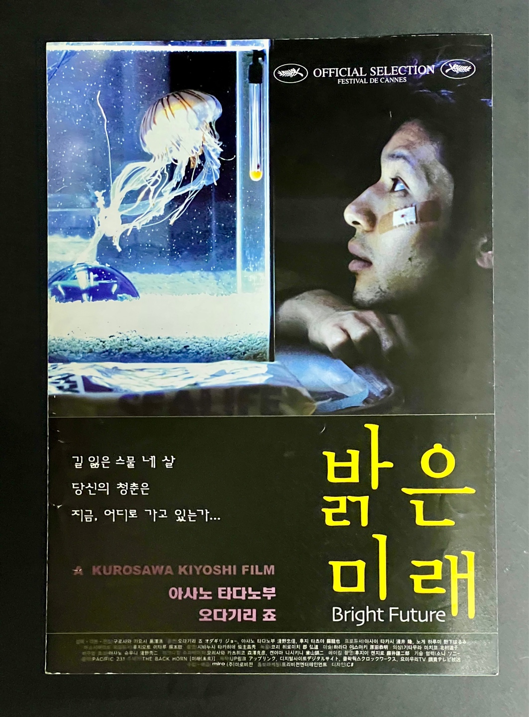 [영화팜플렛] 밝은 미래 2 A4 2장 전단지(2003) | 콜리(Colley)