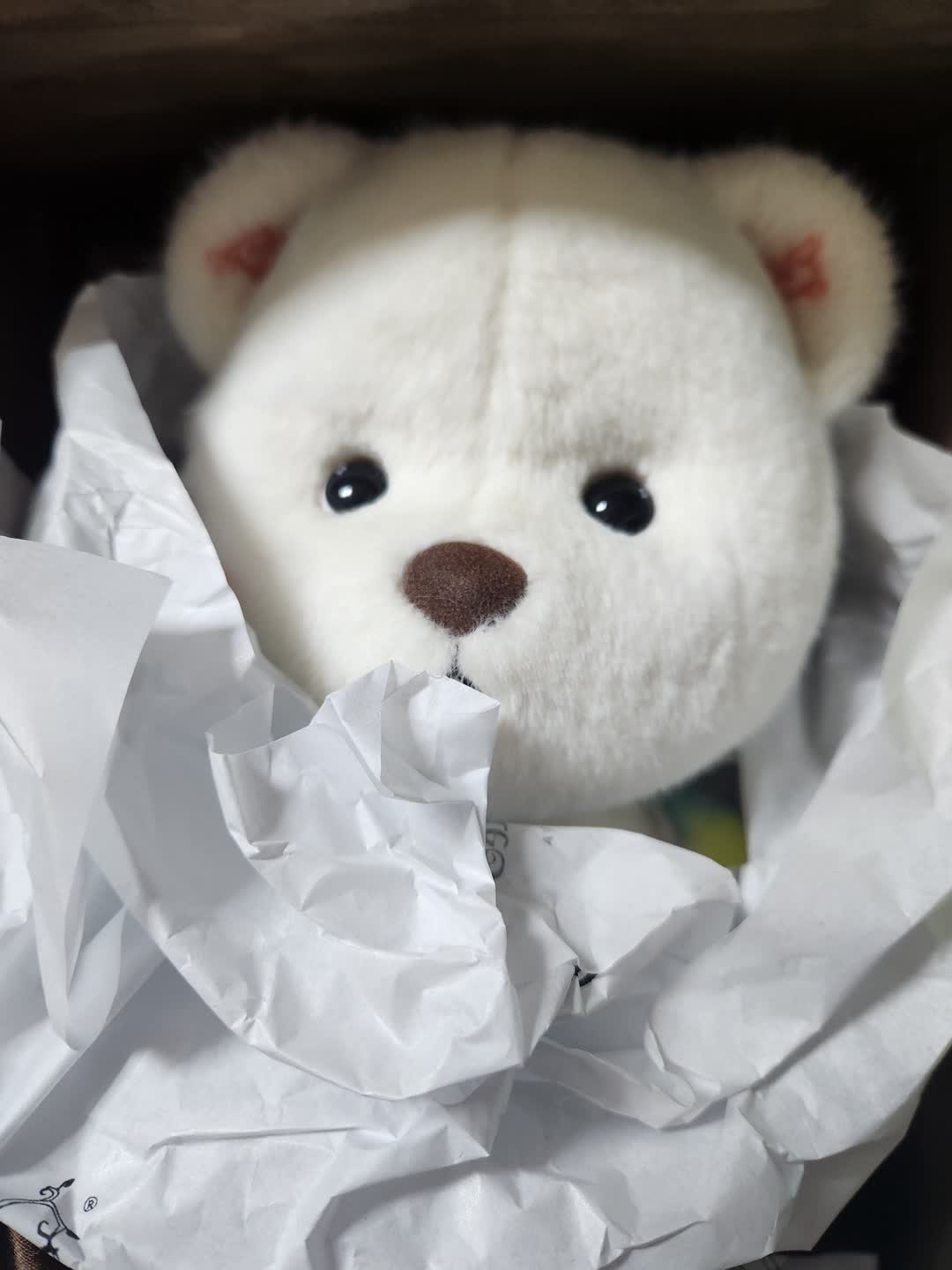 두들이 레나~~🥰 | 콜리(Colley)