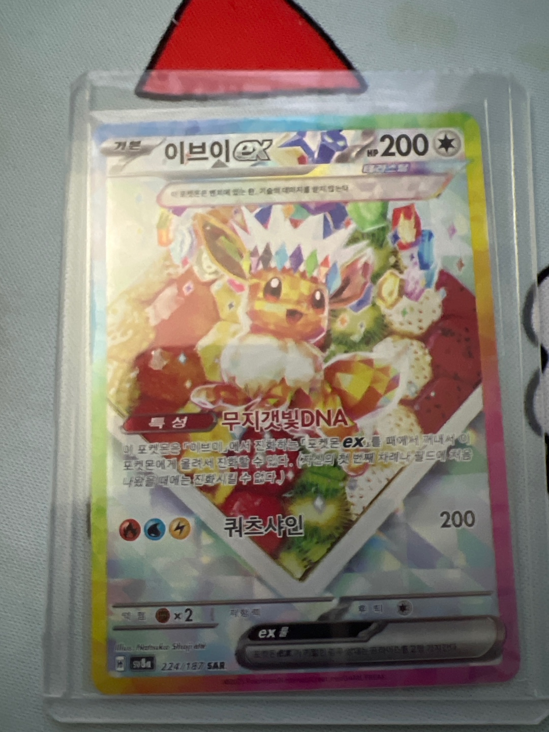 테라스탈 페스타 이브이 EX SAR 판매 | 콜리(Colley)