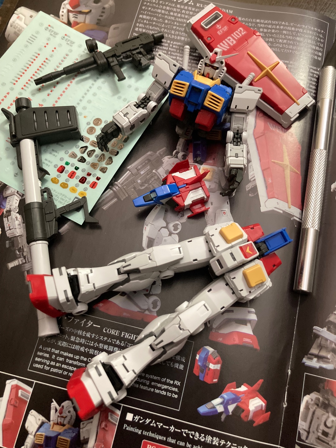 🤍RG 2.0🤍 | 콜리(Colley)