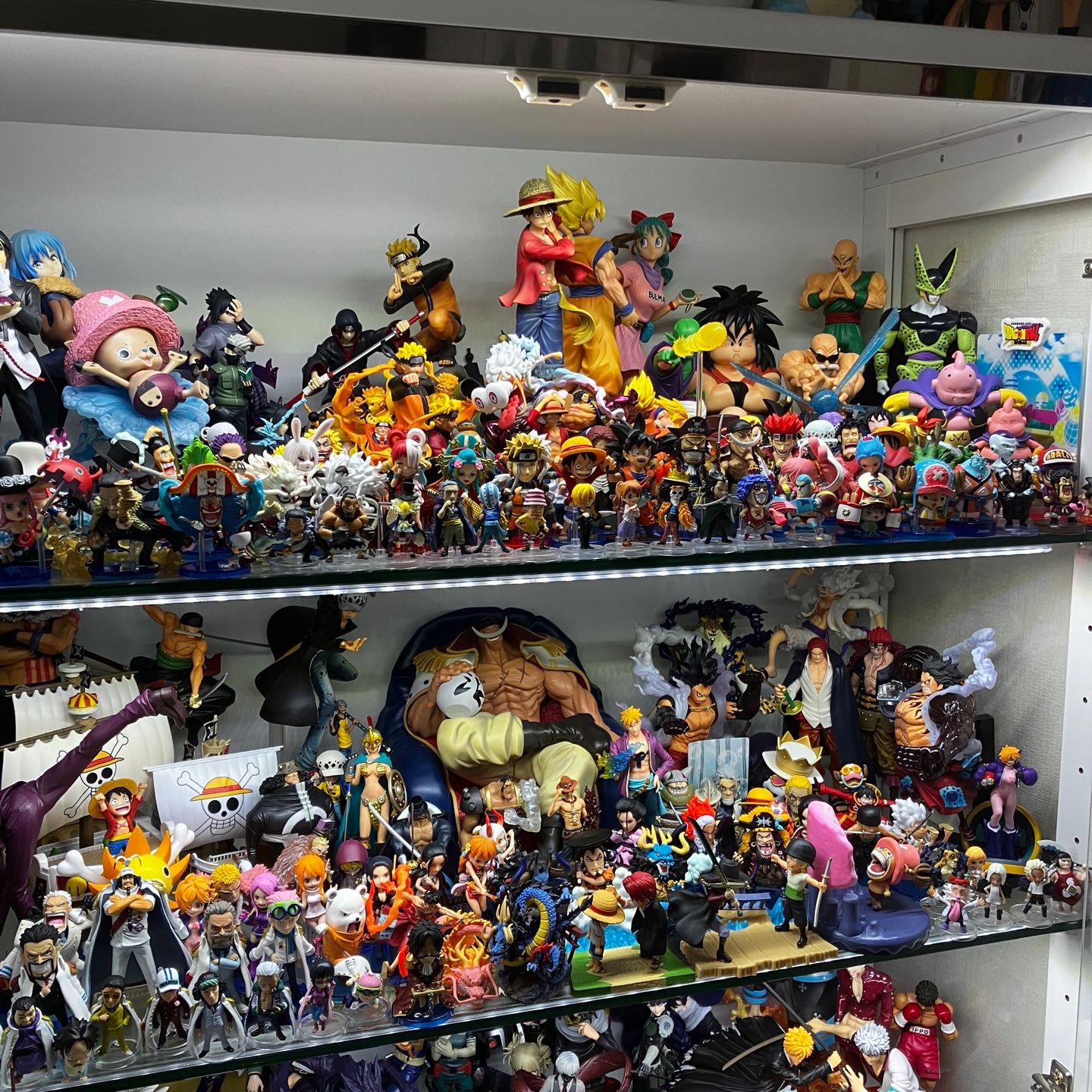 원피스=사랑 | 콜리(Colley)