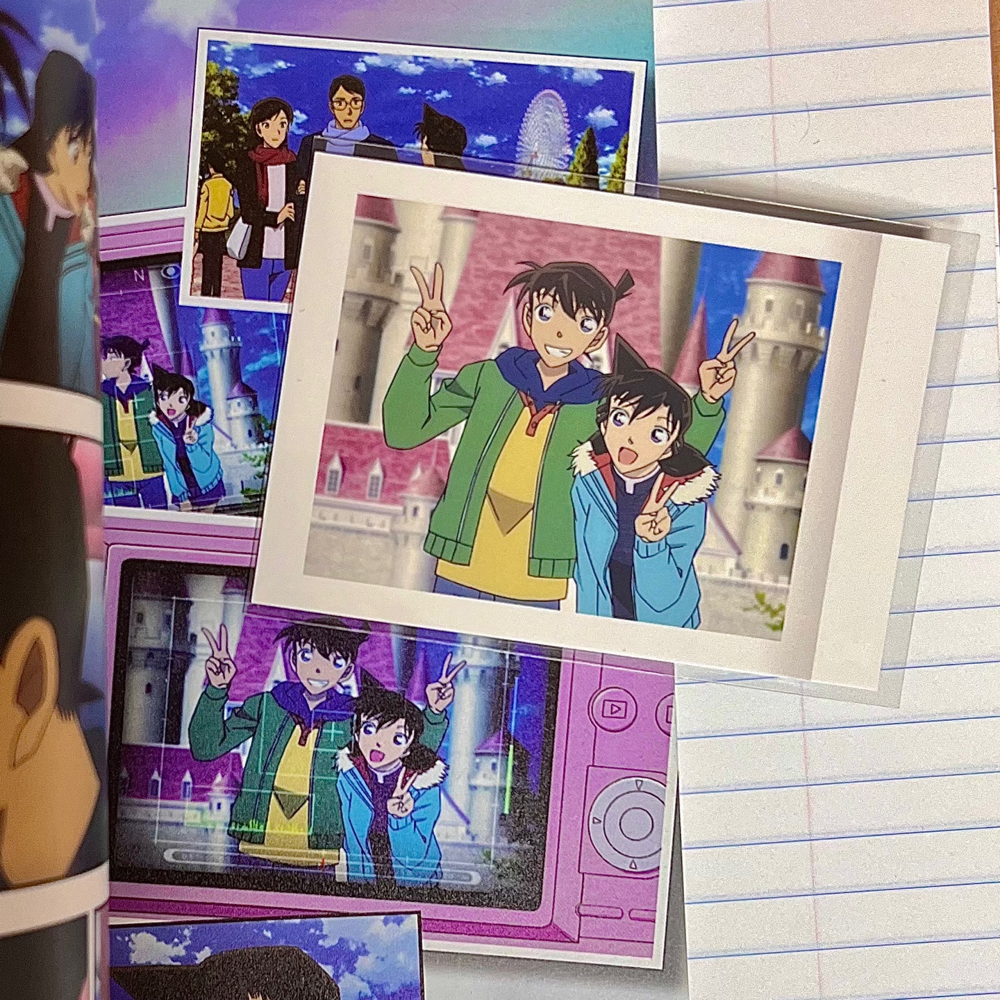 트로피컬 랜드에서 한 컷! | 콜리(Colley)