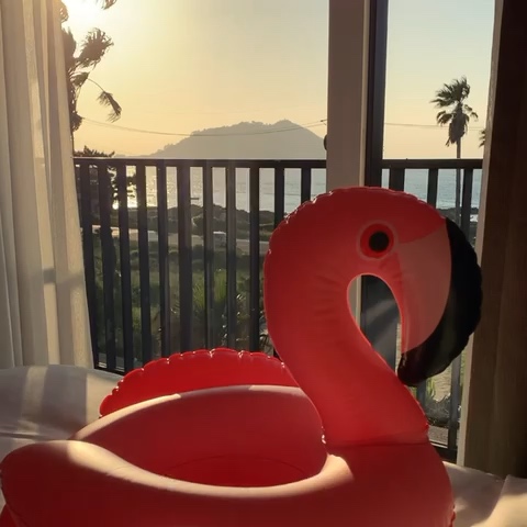 플라밍고 튜브🦩 | 콜리(Colley)