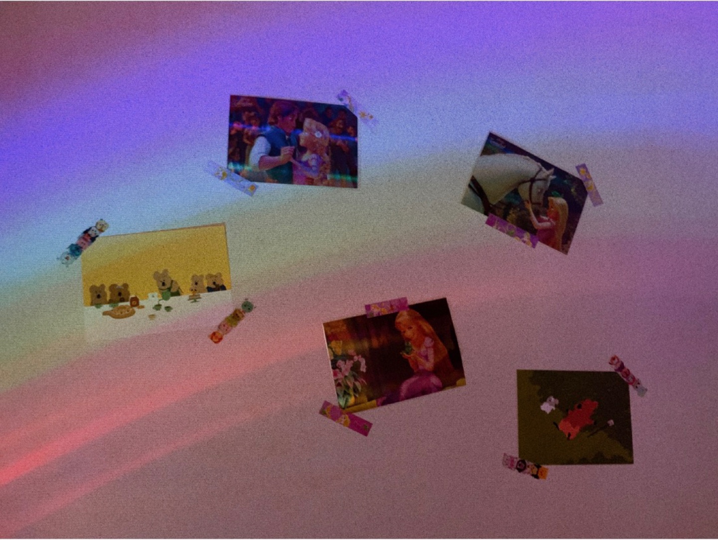 Story 1 | 콜리(Colley)