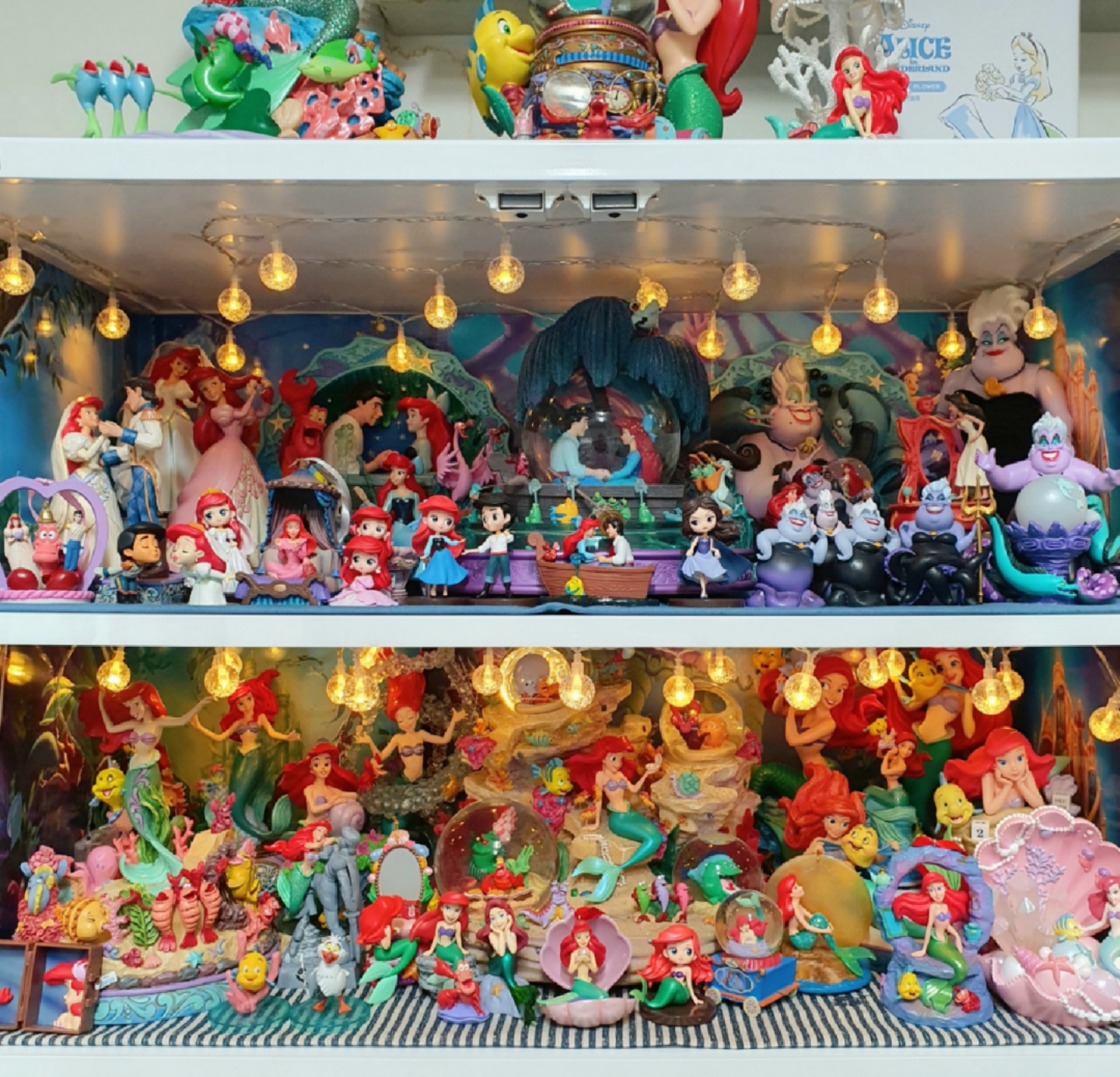 🌈 Mango's Ariel collection 🌈 | 콜리(Colley)