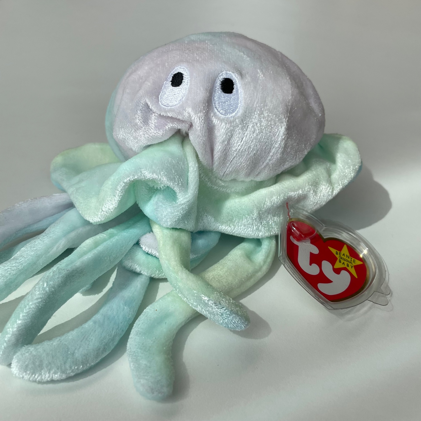 Ty 해파리 | 콜리(Colley)