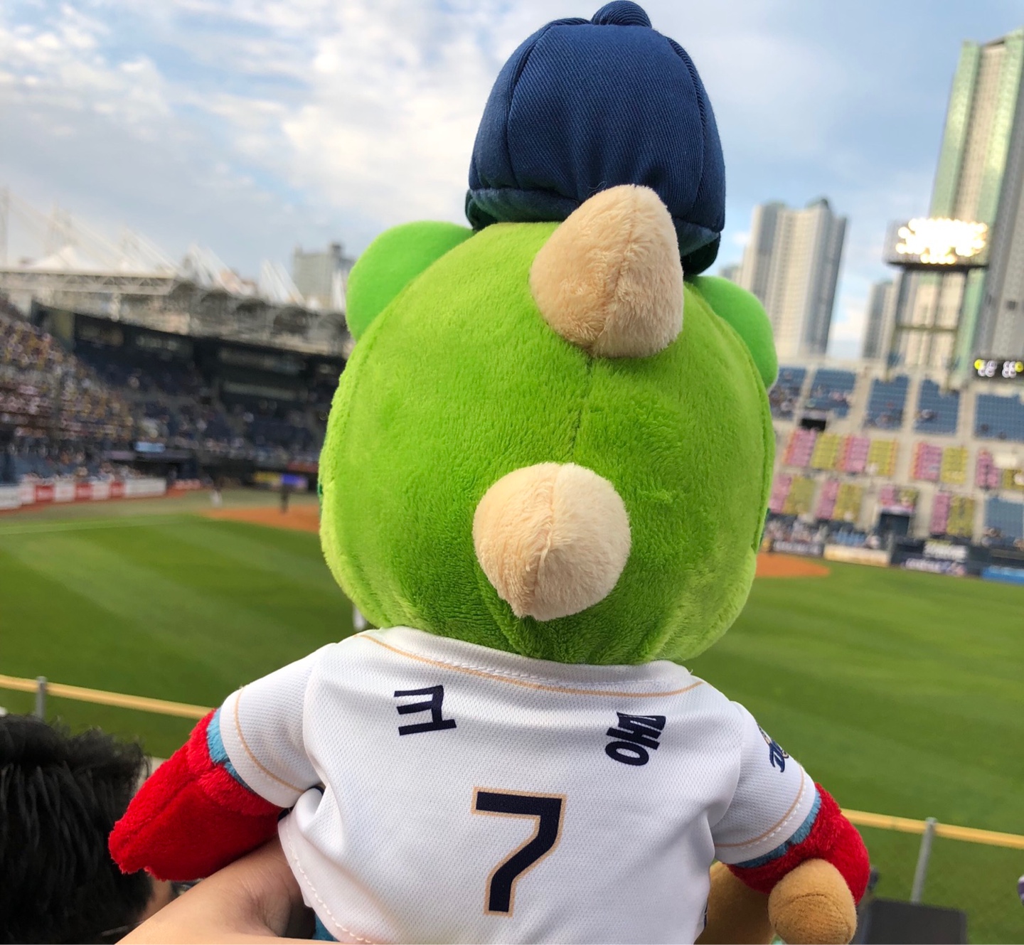 NC다이노스에서 크롱 영입했을때 제작됐던 인형이예용‼️ | 콜리(Colley)