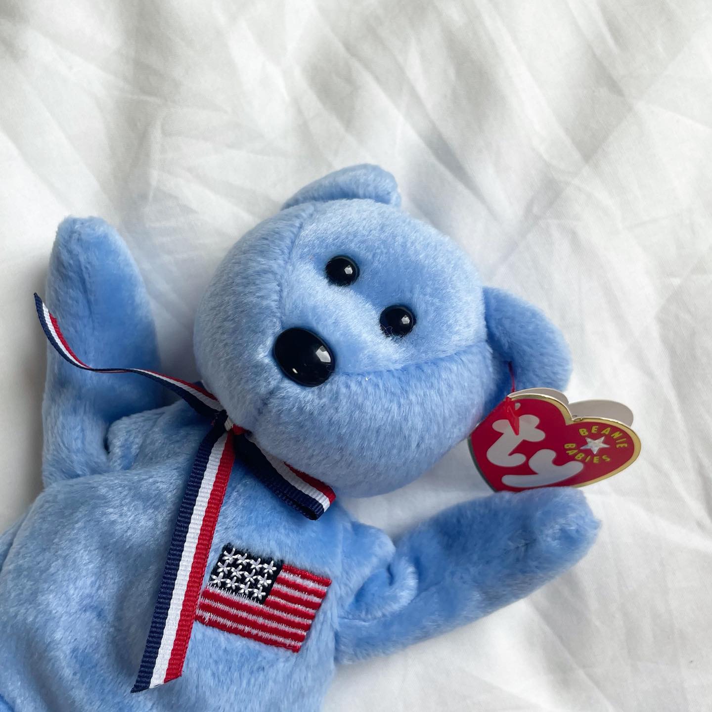 하늘색의 정의를 담고 있는듯한 아메리카 베어에요💙 | 콜리(Colley)