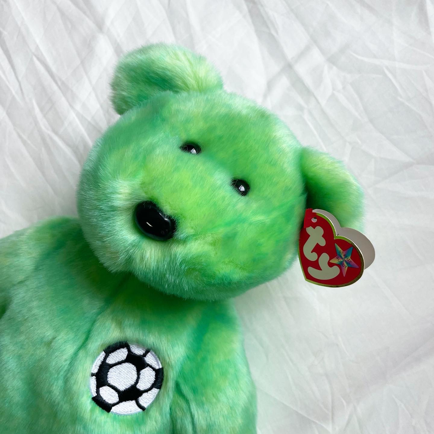 🔖 TY Kicks Buddy | 콜리(Colley)