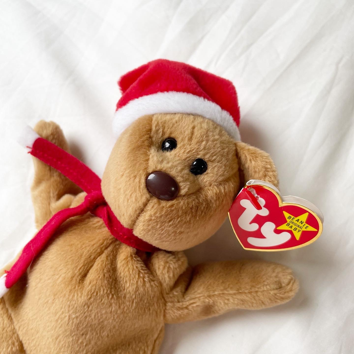 🔖TY 1997 Teddy | 콜리(Colley)