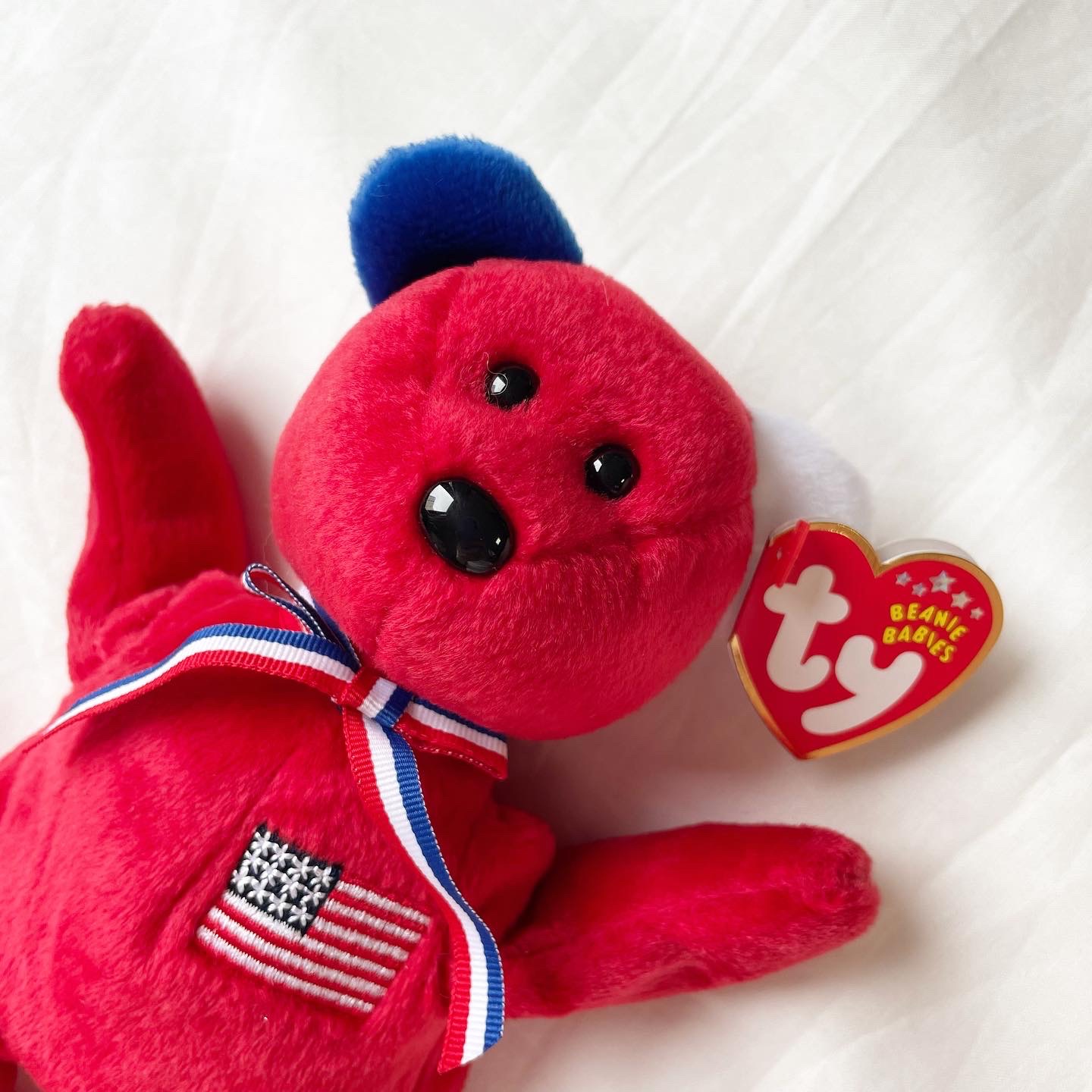 🔖TY America Red | 콜리(Colley)