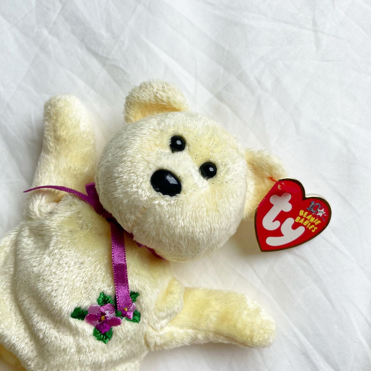 🔖TY Mother | 콜리(Colley)