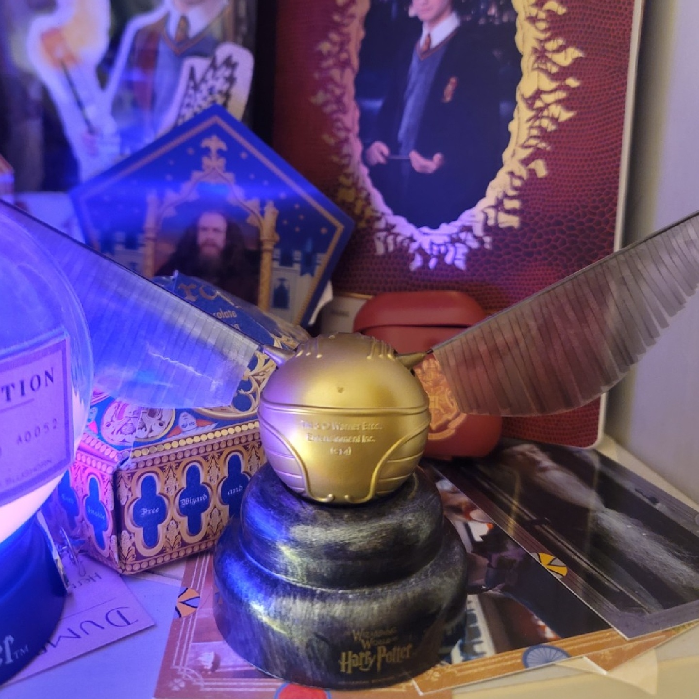 USJ 골든스니치 | 콜리(Colley)