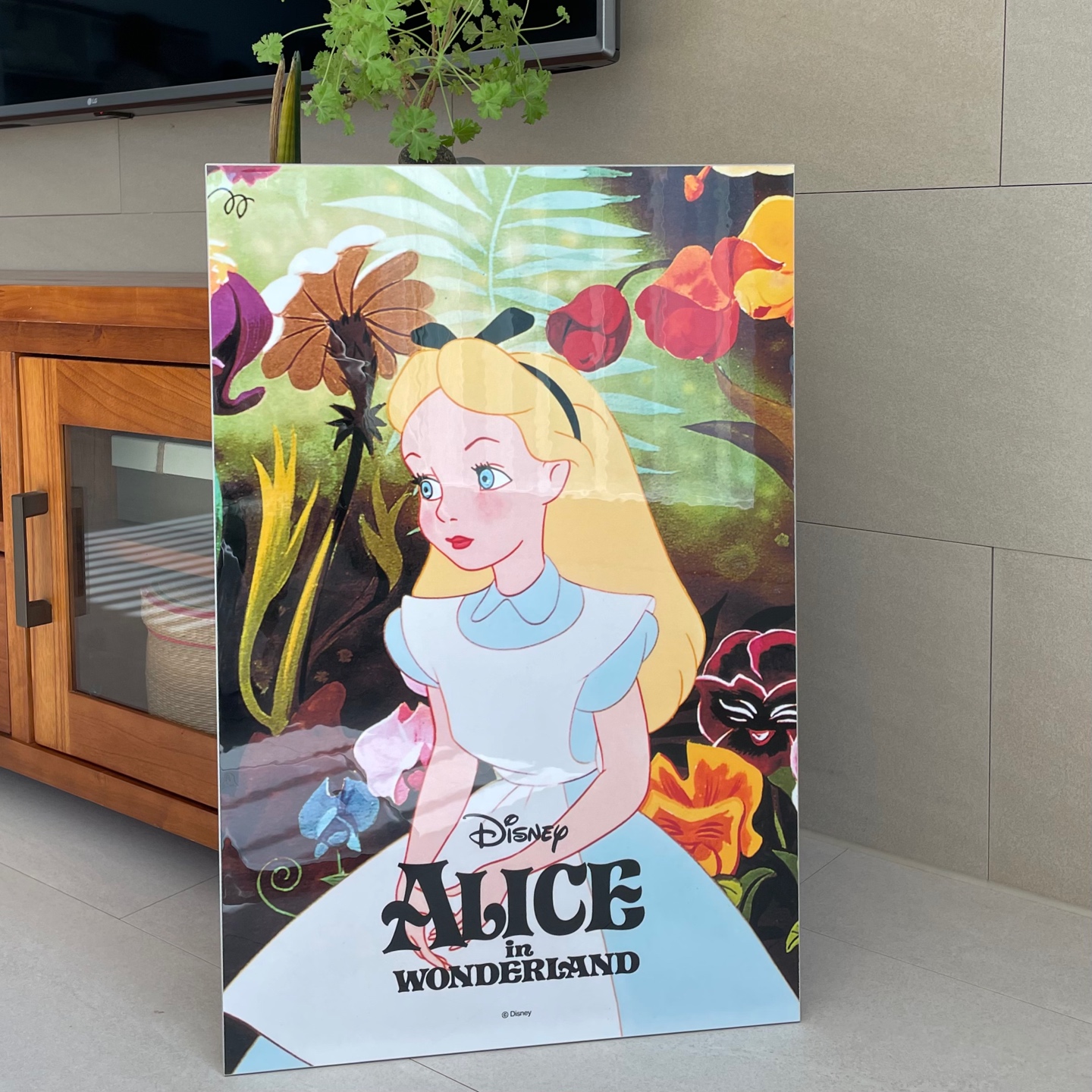 𝐷𝑖𝑠𝑛𝑒𝑦 𝑇𝑎𝑏𝑙𝑒 - 𝐴𝐿𝐼𝐶𝐸 🖤 | 콜리(Colley)