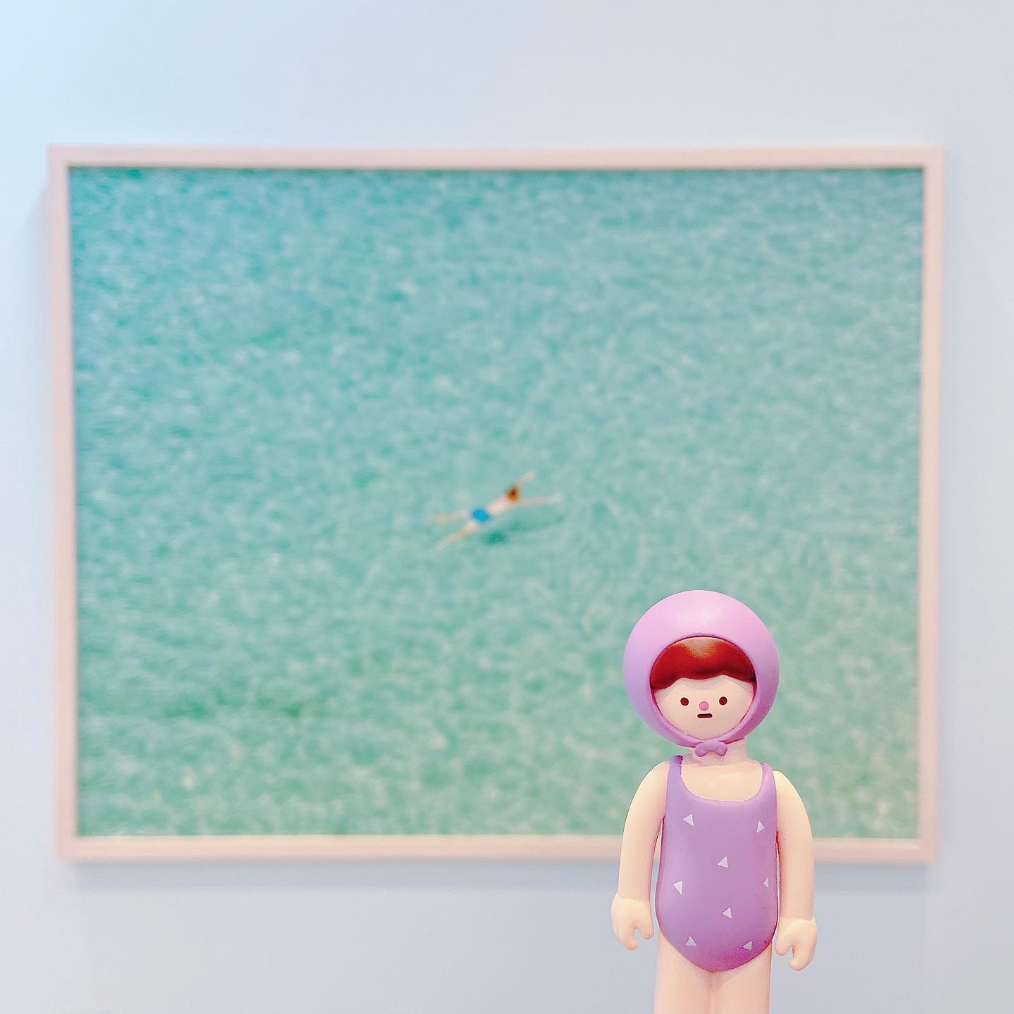 청량미 뿜뿜 콜리 Colley