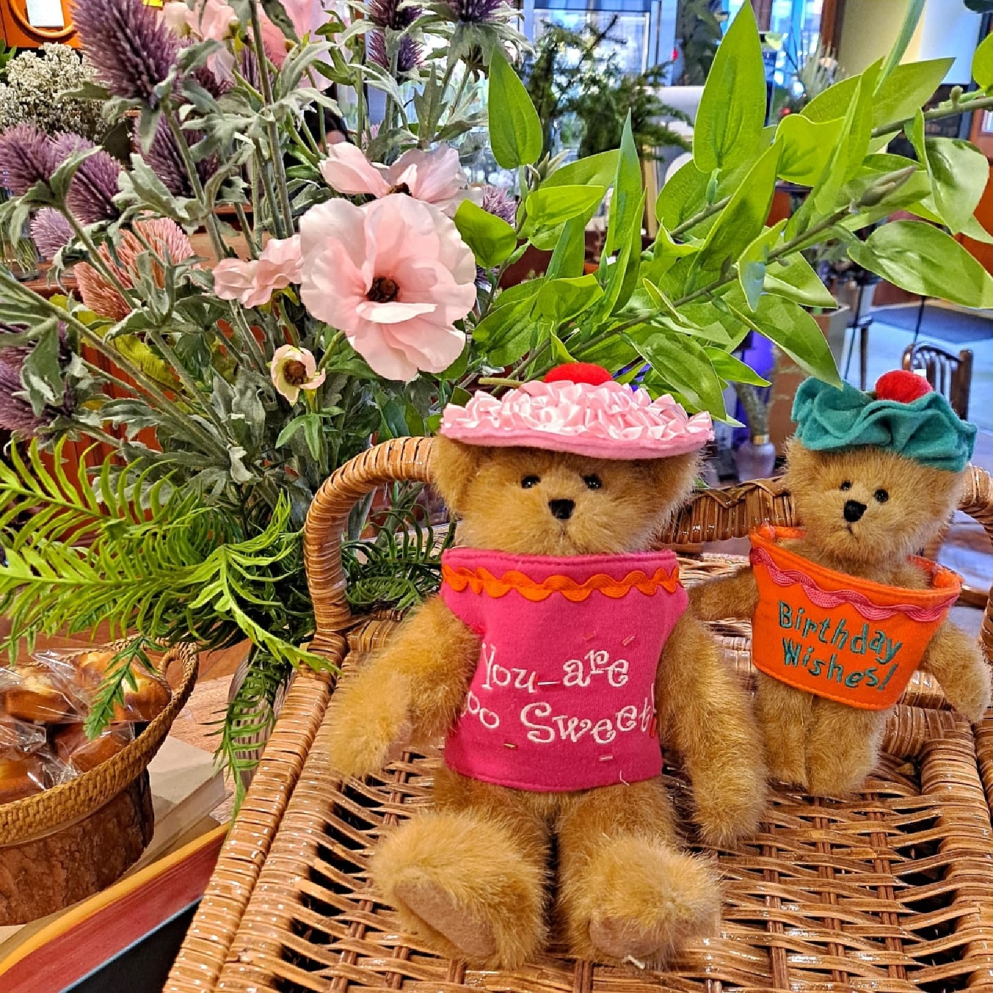 🧁 | 콜리(Colley)