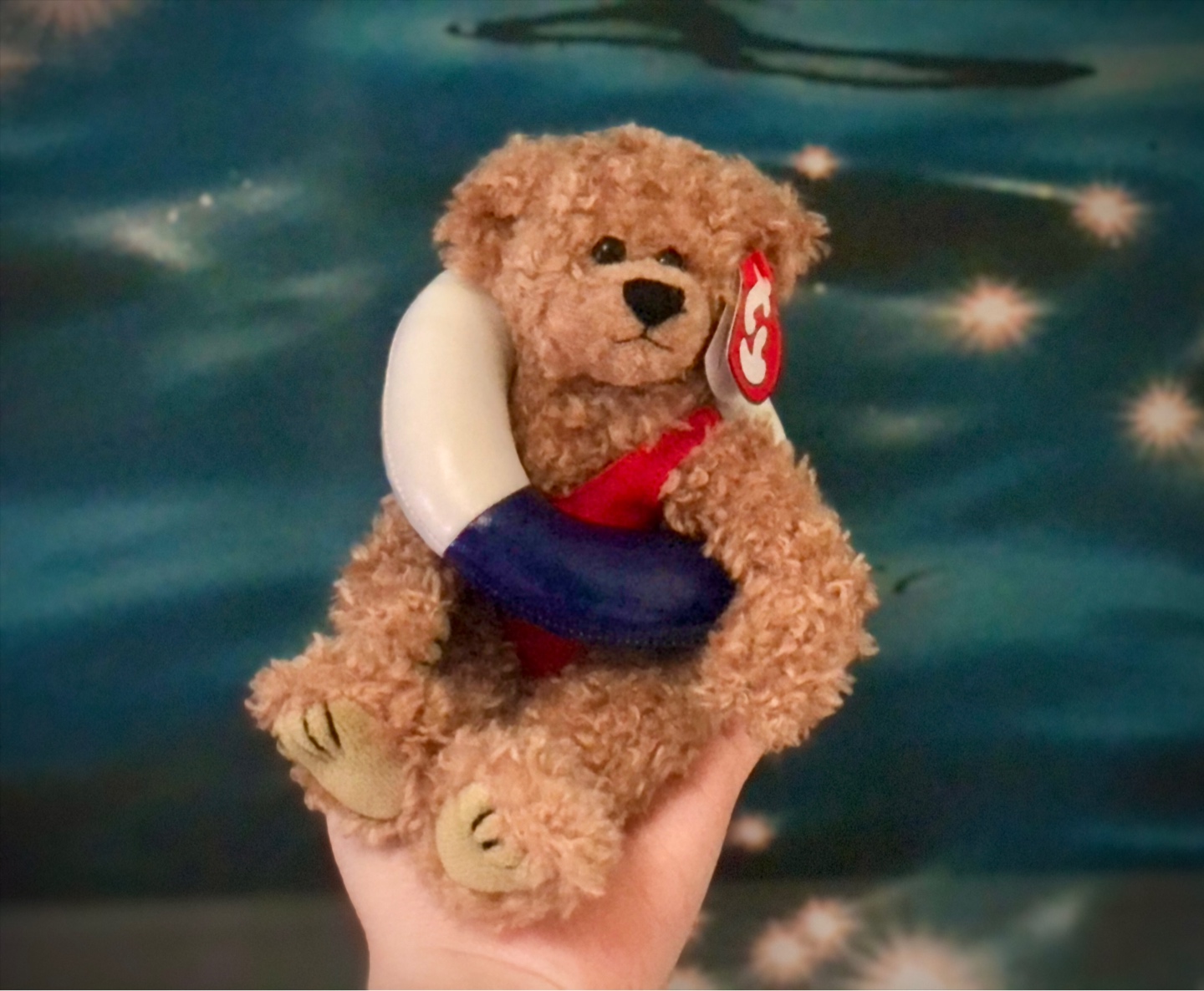 [최애곰] ty에틱베어 티와이인형도... | 콜리(Colley)