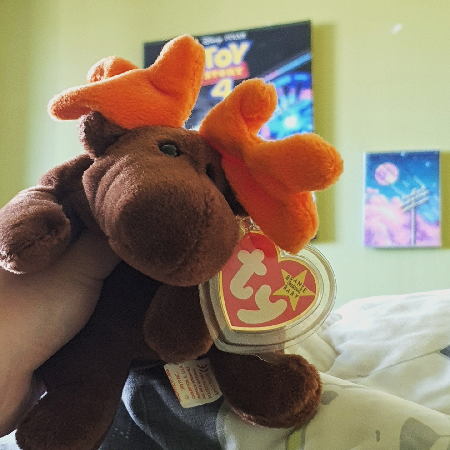 ty 무스! | 콜리(Colley)