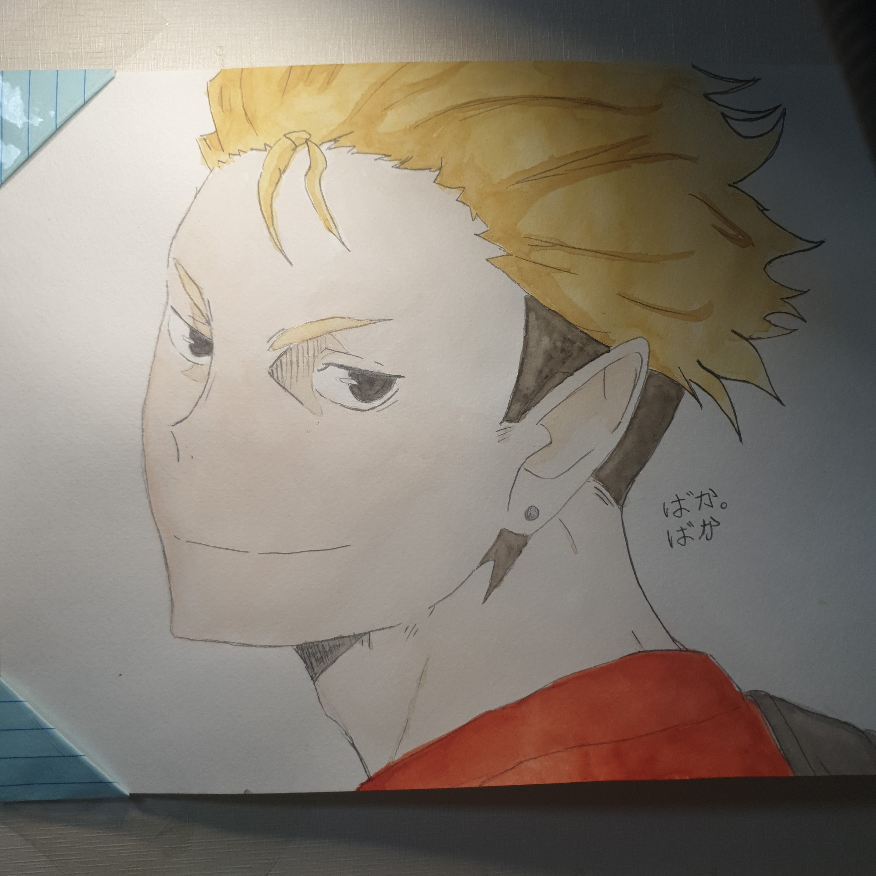 테루시마 | 콜리(Colley)