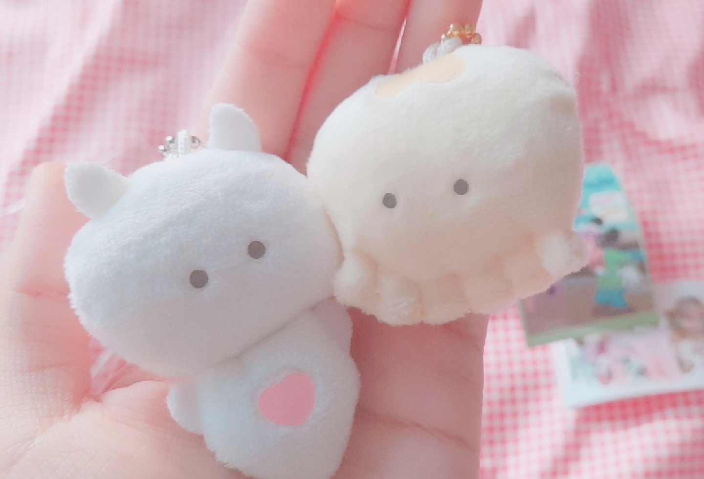 제가 좋아하는 해파리와 클리오네에요! | 콜리(Colley)