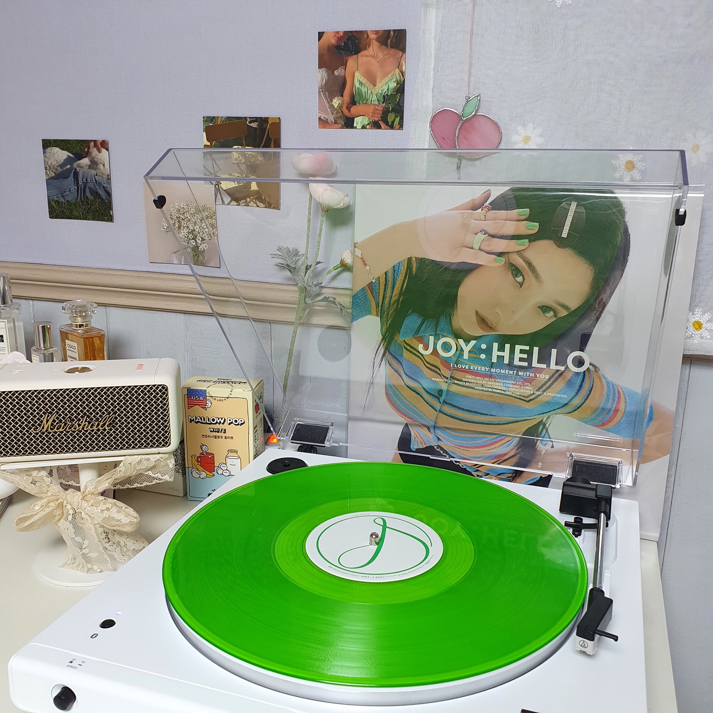 lp존 꾸미기 | 콜리(Colley)