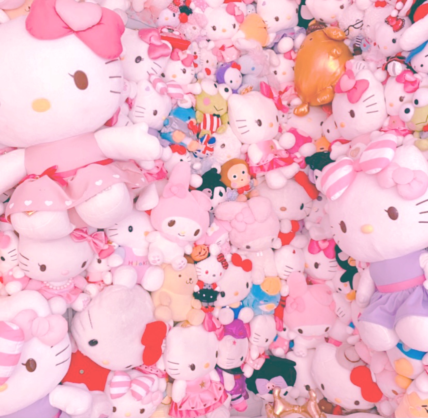 산리오 러버스 클럽 갔을때 국룰은 | 콜리(Colley)