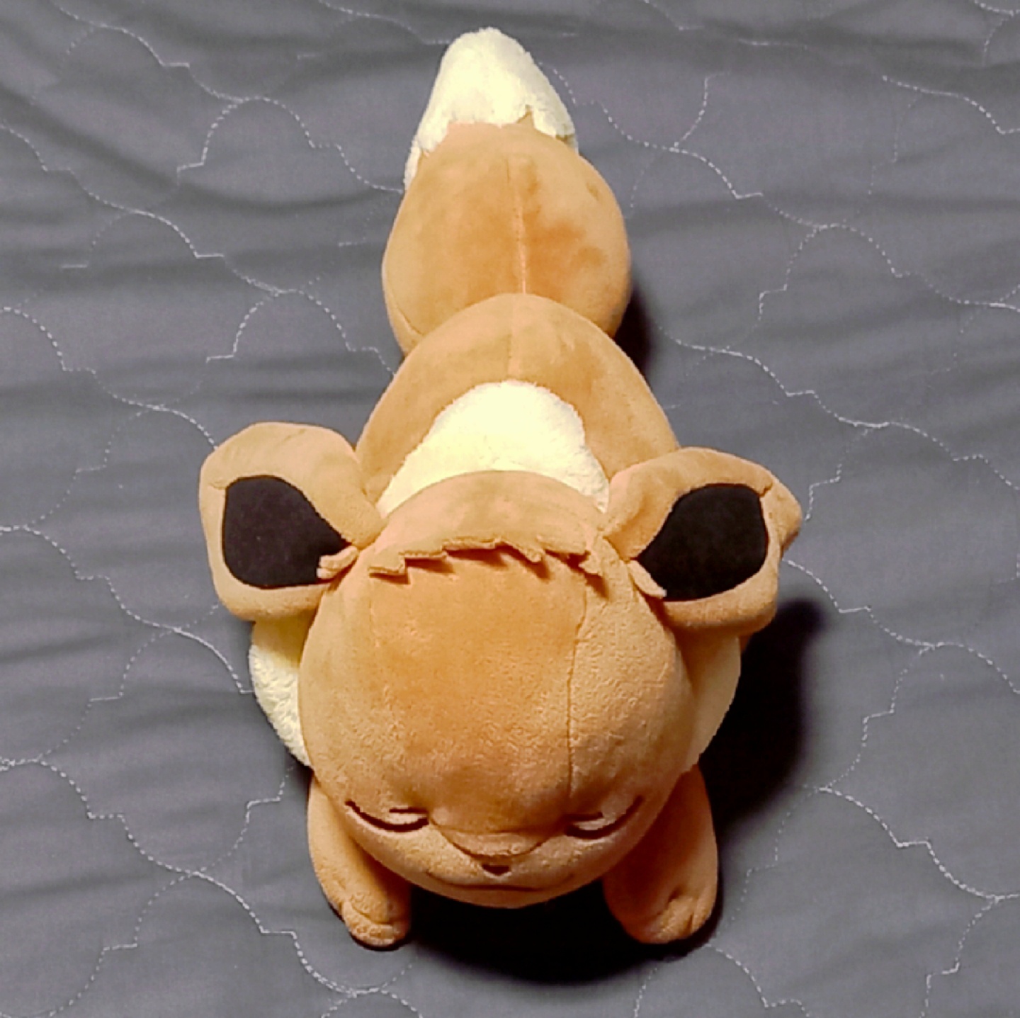 😴 | 콜리(Colley)