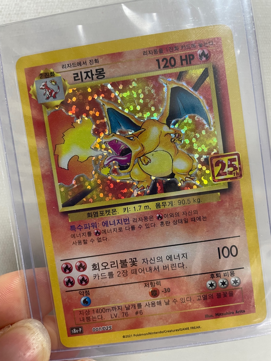 25주년 리자몽 거북왕 이상해꽃 콜리 Colley