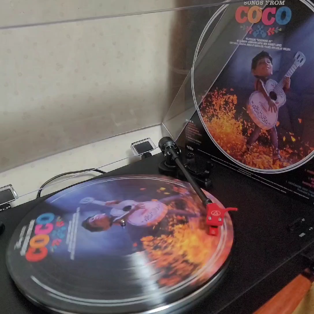 🏵COCO LP🏵 | 콜리(Colley)