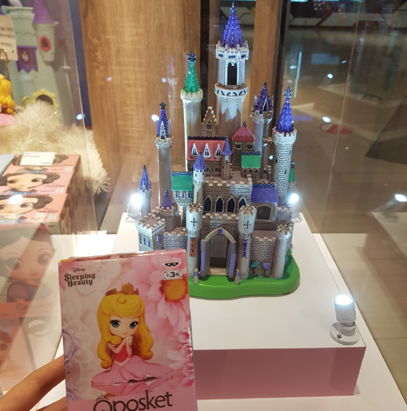 Sleeping Beauty Castle | 콜리(Colley)