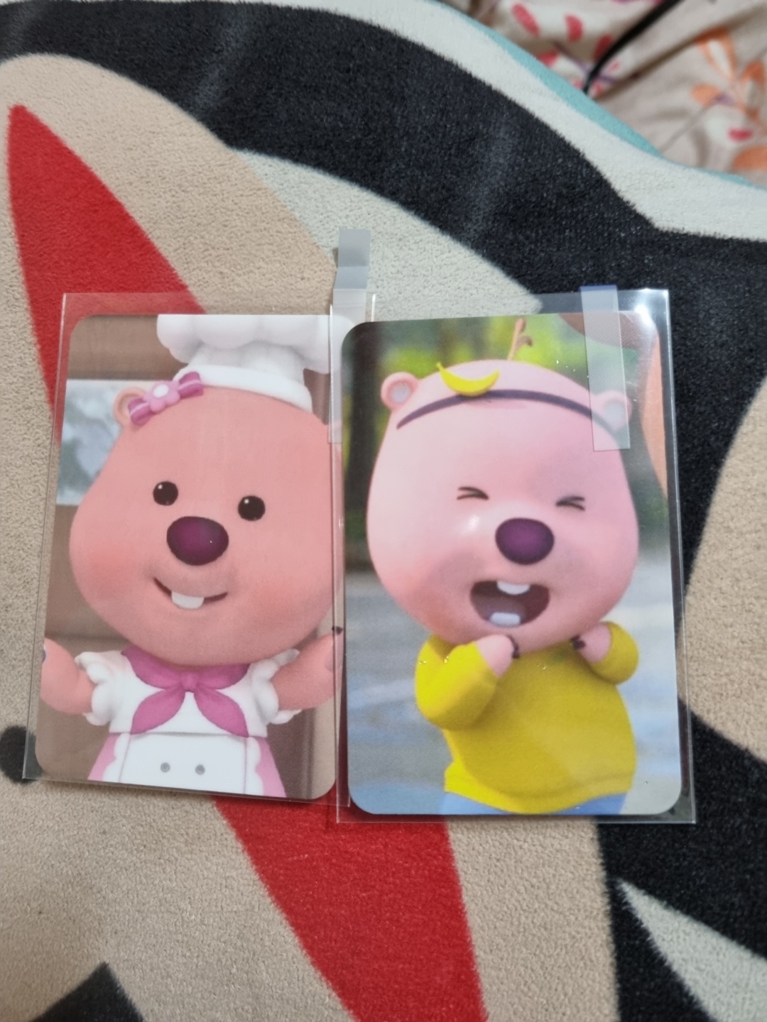 귀여운 루피♡ 콜리 Colley