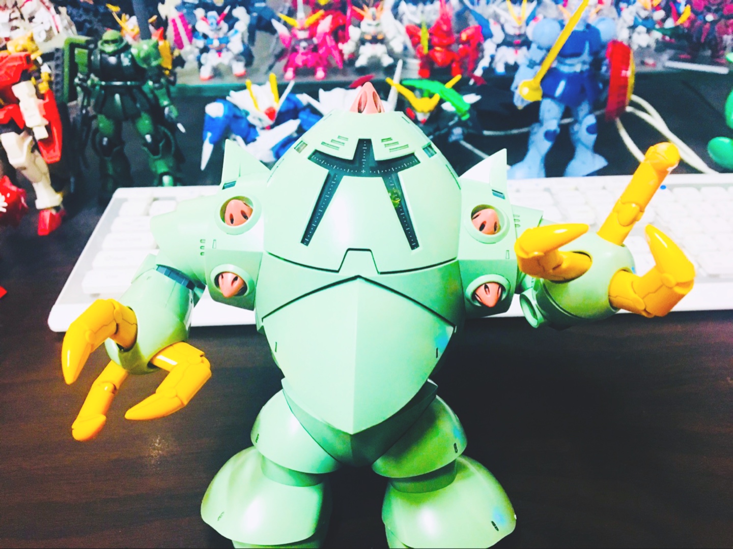 HG 족크 | 콜리(Colley)