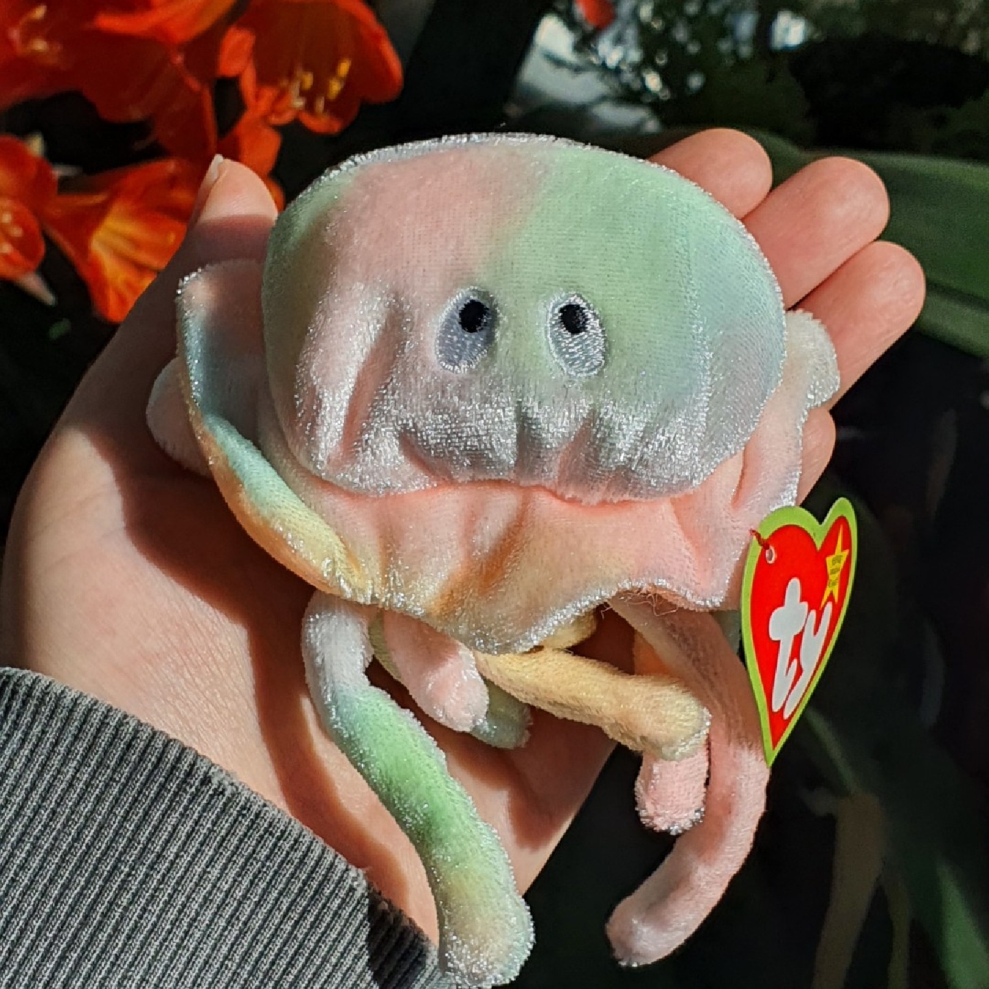 ty 해파리 | 콜리(Colley)