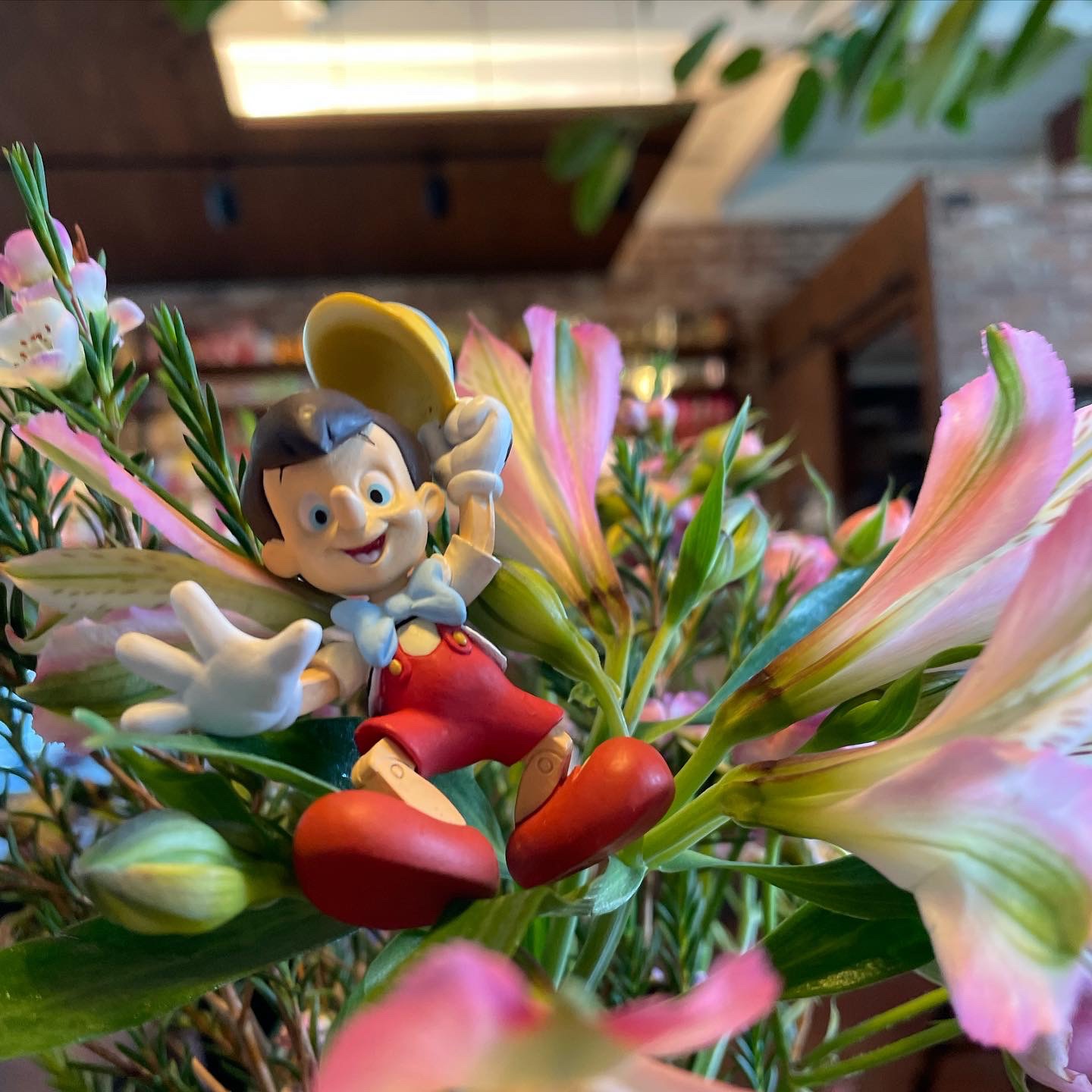 공간이주는 힐링 | 콜리(Colley)