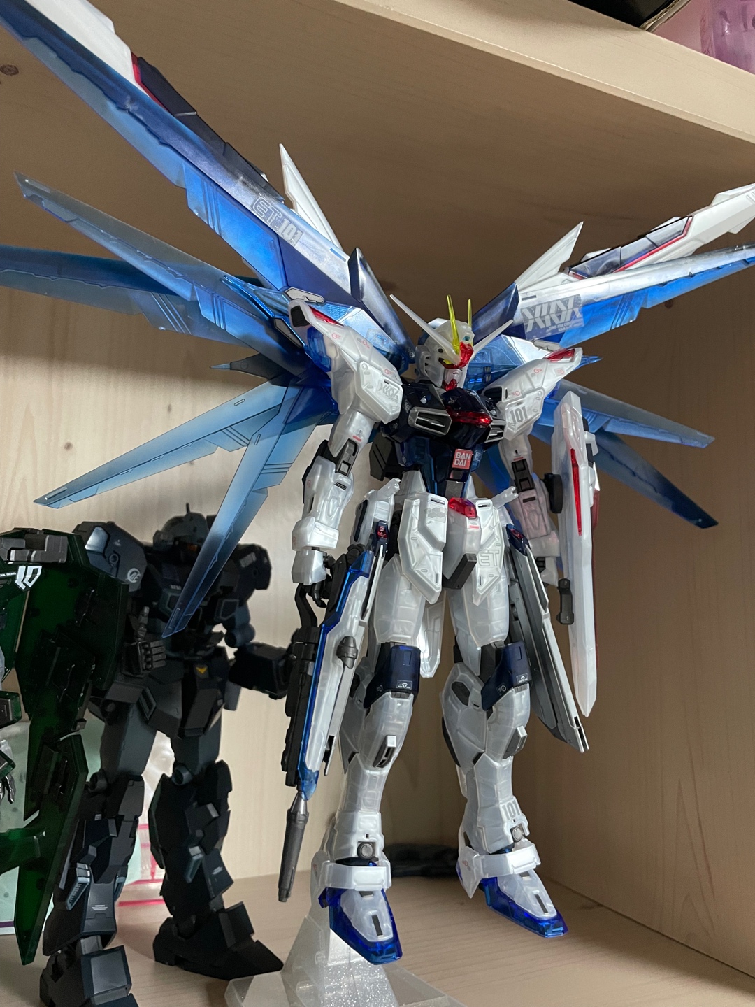 MG 프리덤 2.0 클리어 | 콜리(Colley)