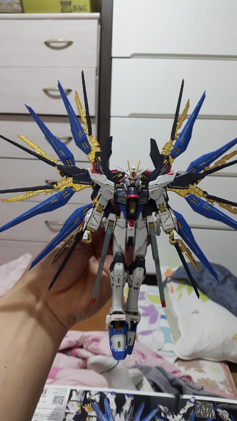 크 RG 프리덤 !!!! | 콜리(Colley)